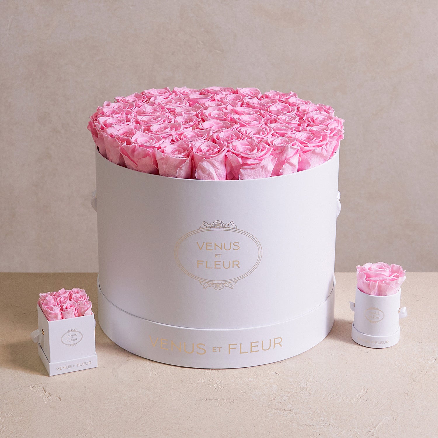 Luxury Eternity ® Roses | Preserved Roses by Venus et Fleur