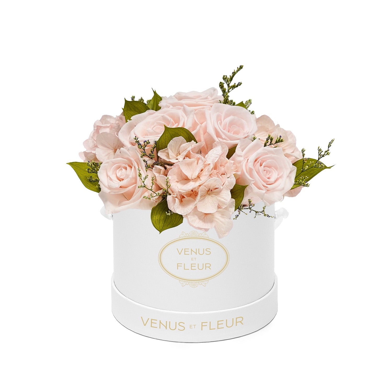 Eternity® Flowers & Roses That Last a Year | Venus et Fleur