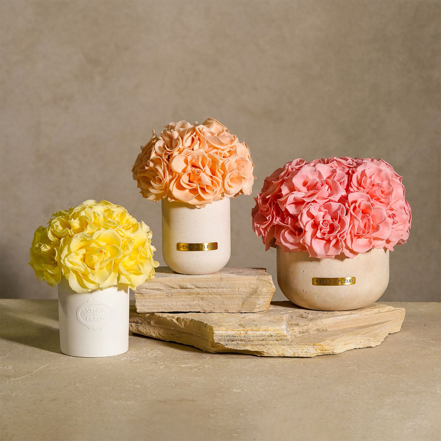 Luxury Eternity ® Roses | Preserved Roses by Venus et Fleur