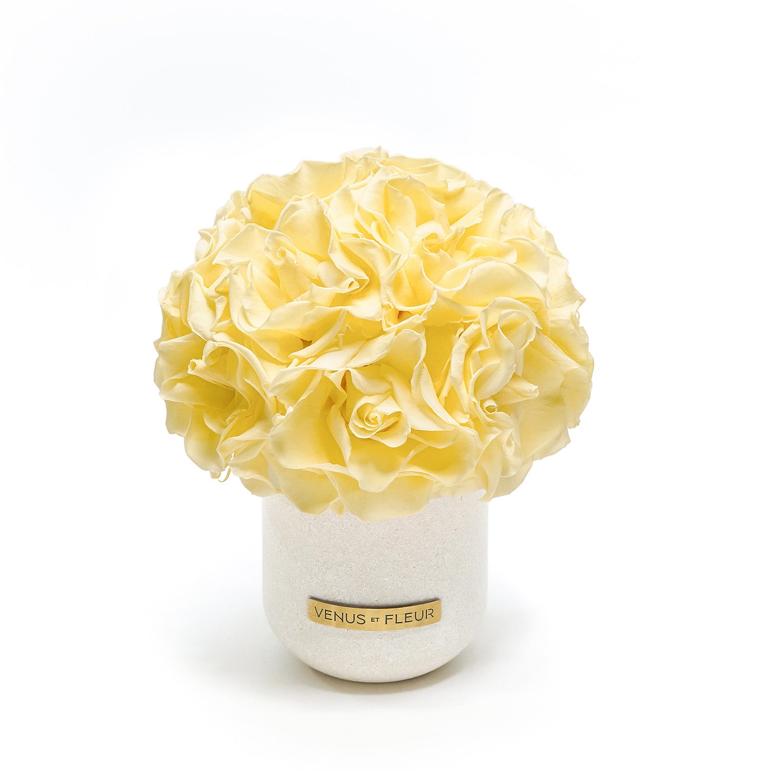 Luxury Eternity ® Roses | Preserved Roses by Venus et Fleur