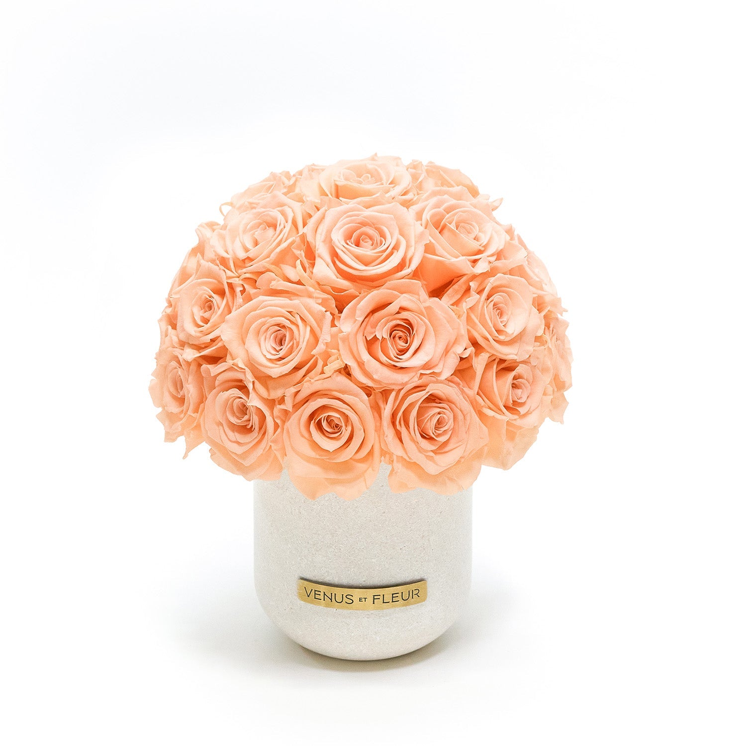 Serene Porcelain Vase with Eternity Roses | Venus et Fleur