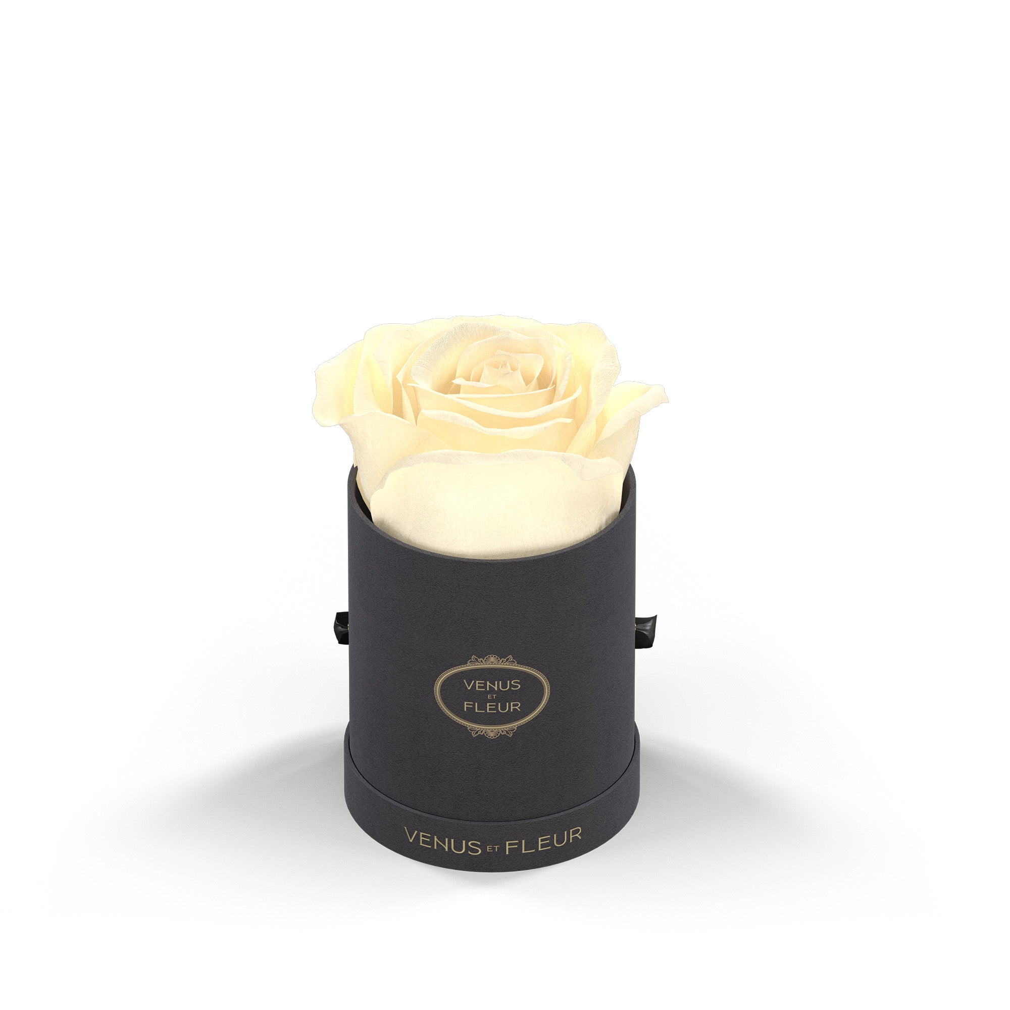 Mini Round White Box with Eternity Roses | Venus et Fleur