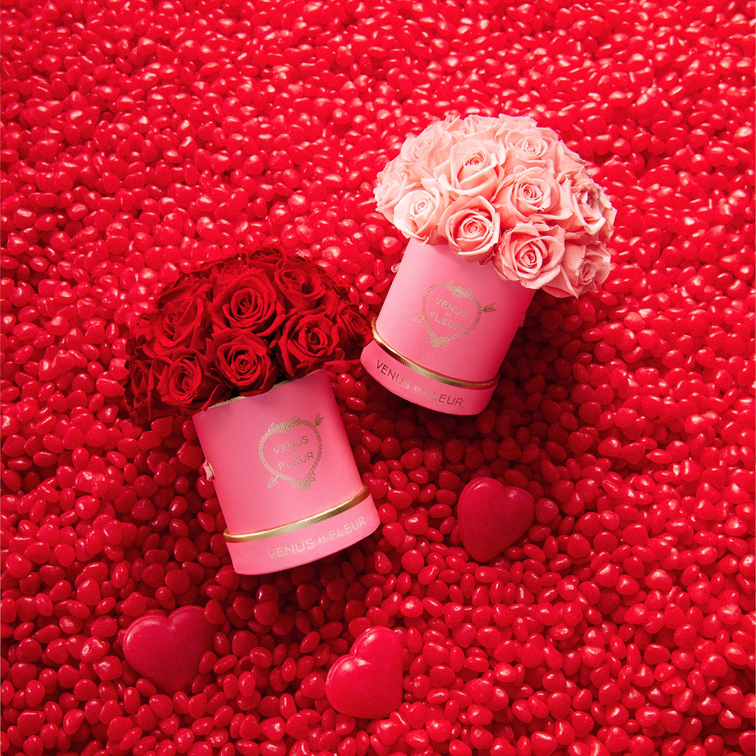 Luxury Eternity® Roses & Preserved Rose Bouquets | Venus et Fleur