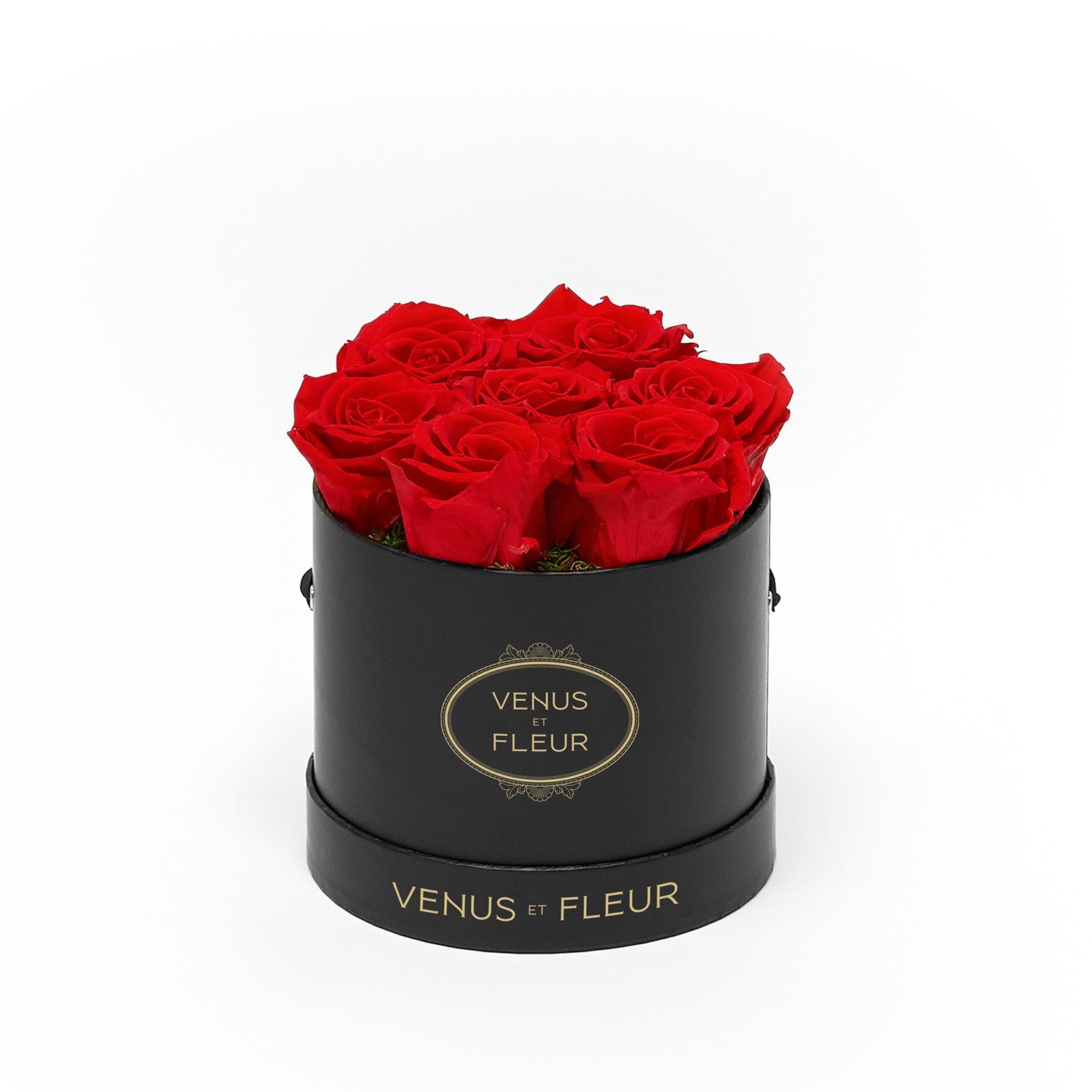 Best Selling & Most Popular Preserved Flowers | Venus et Fleur