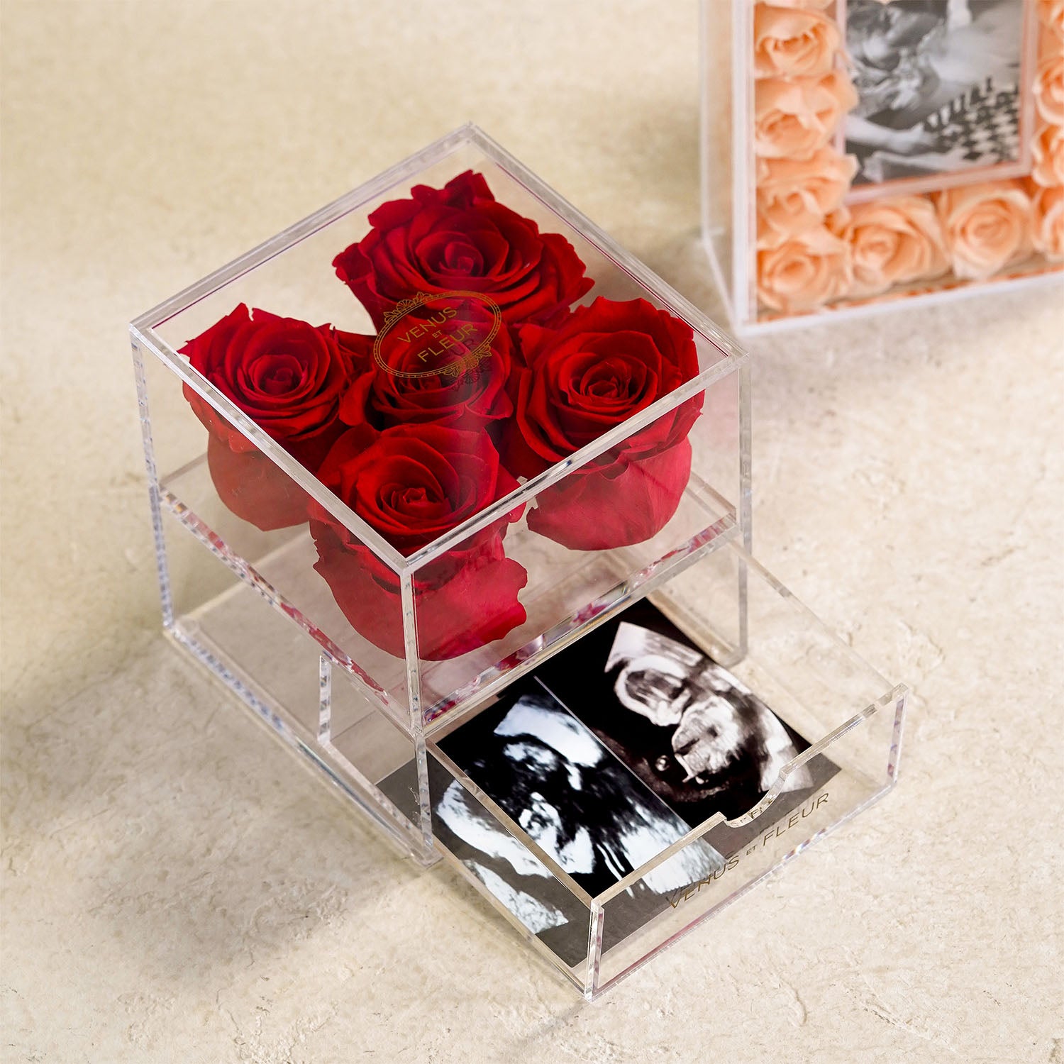 Luxury Eternity® Roses & Preserved Rose Bouquets | Venus et Fleur