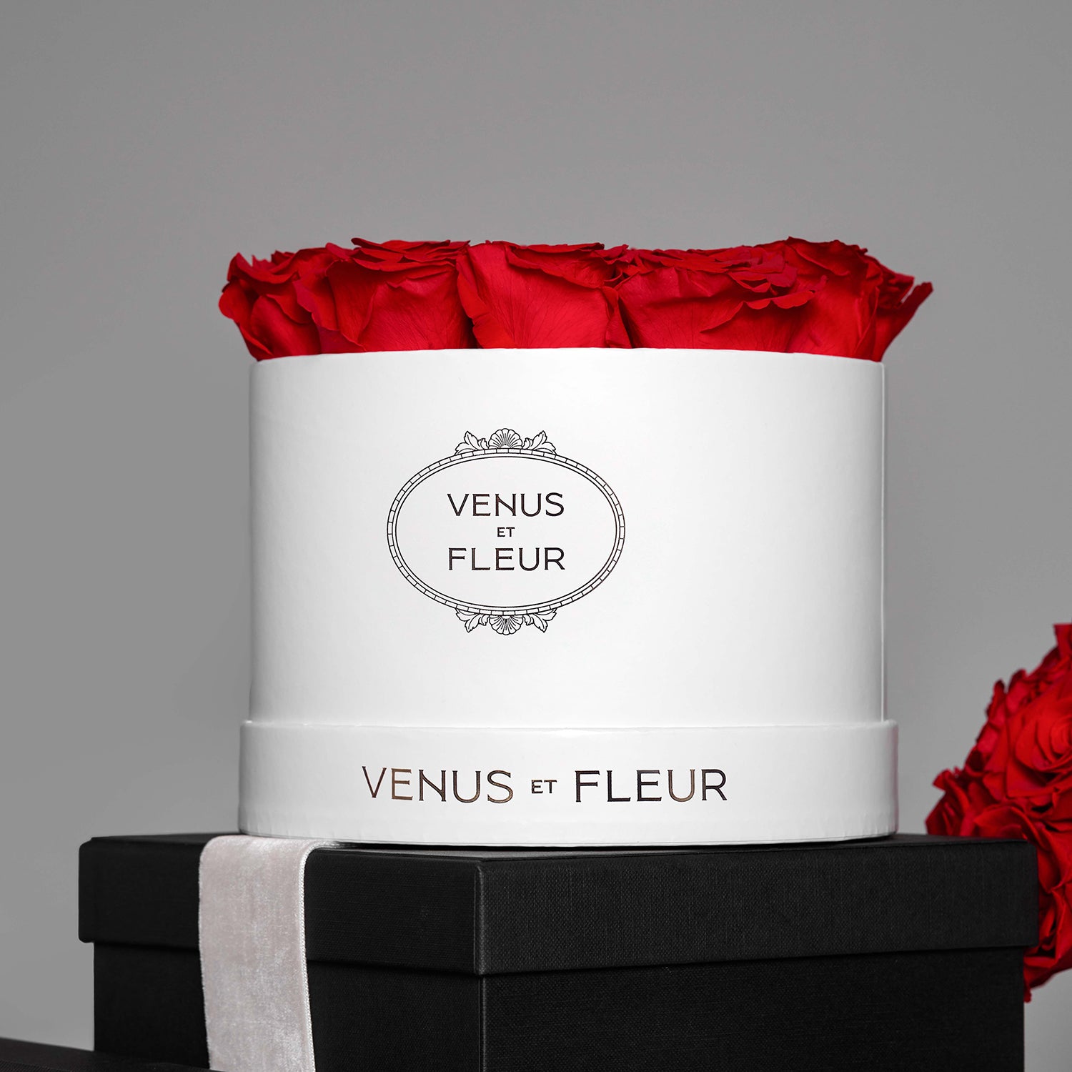 Luxury Eternity® Roses & Preserved Rose Bouquets | Venus et Fleur